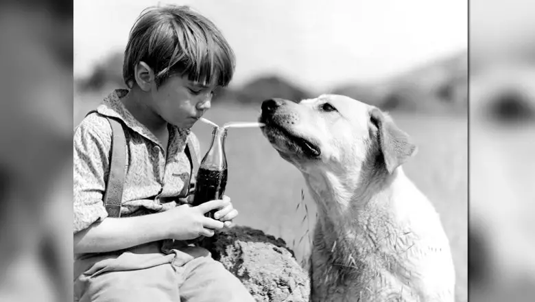 Disney Actor Kevin Corcoran Passes Away at Age 66