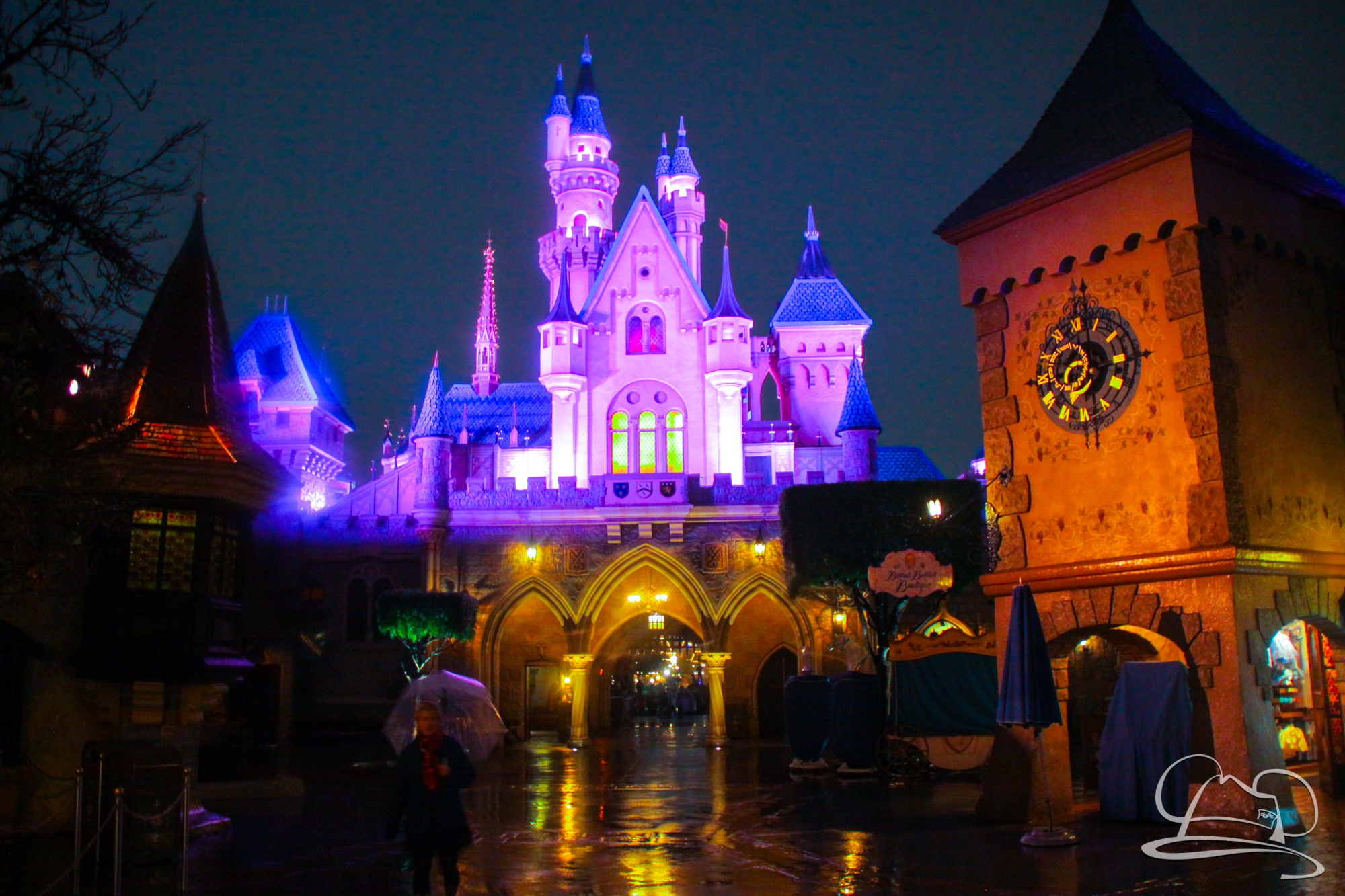 How To Propose at a Disney Park