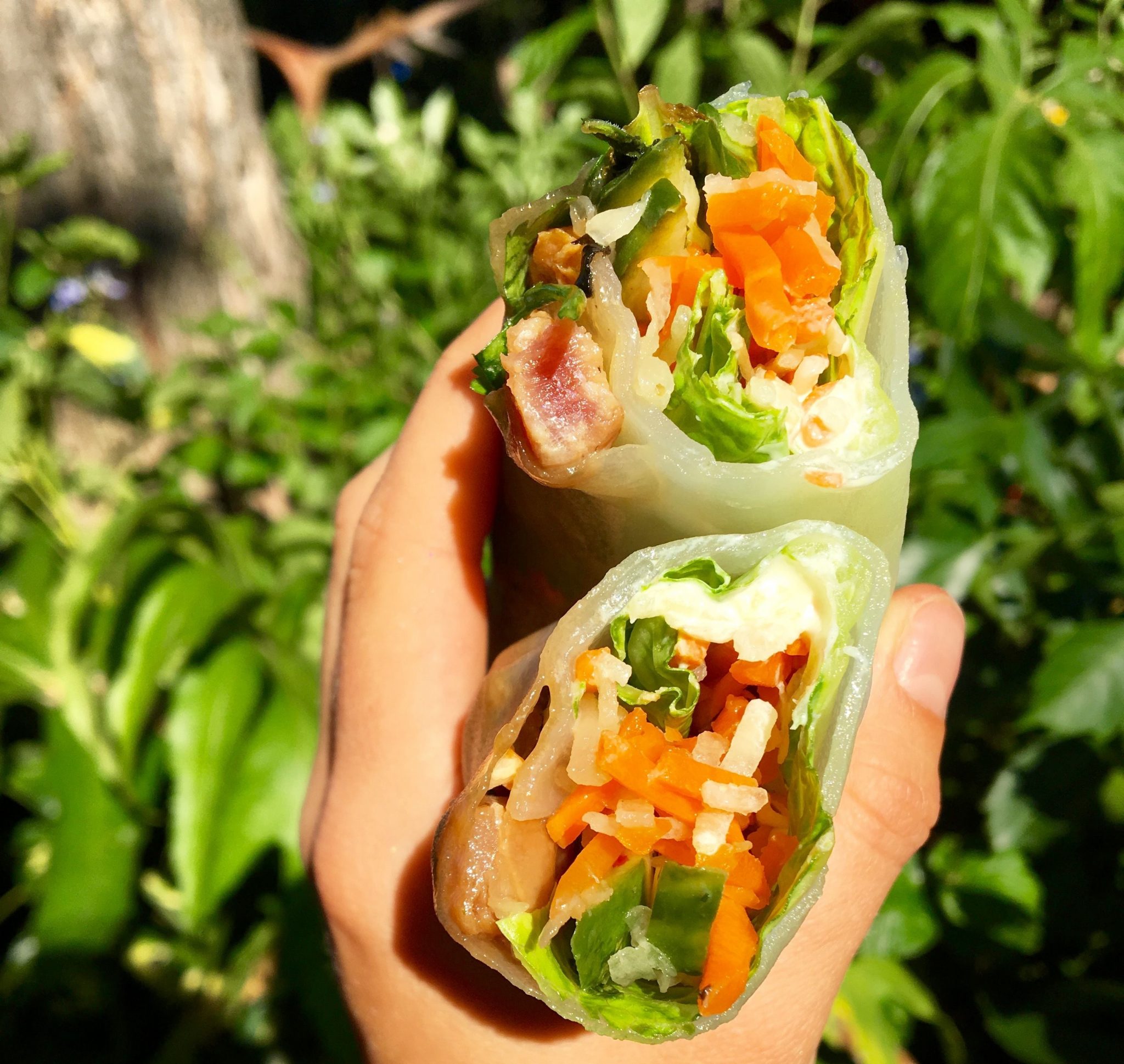 Ahi Poke Spring Roll and Hummus Trio Roll Out at Bengal Barbecue