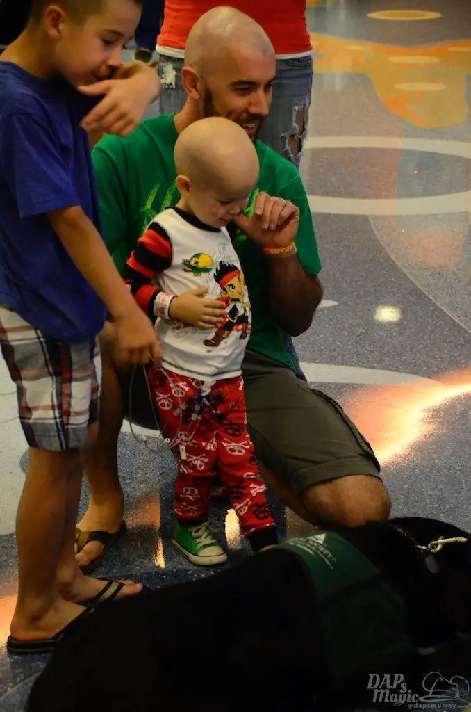 Minnie Walk at CHOC Children's Hospital
