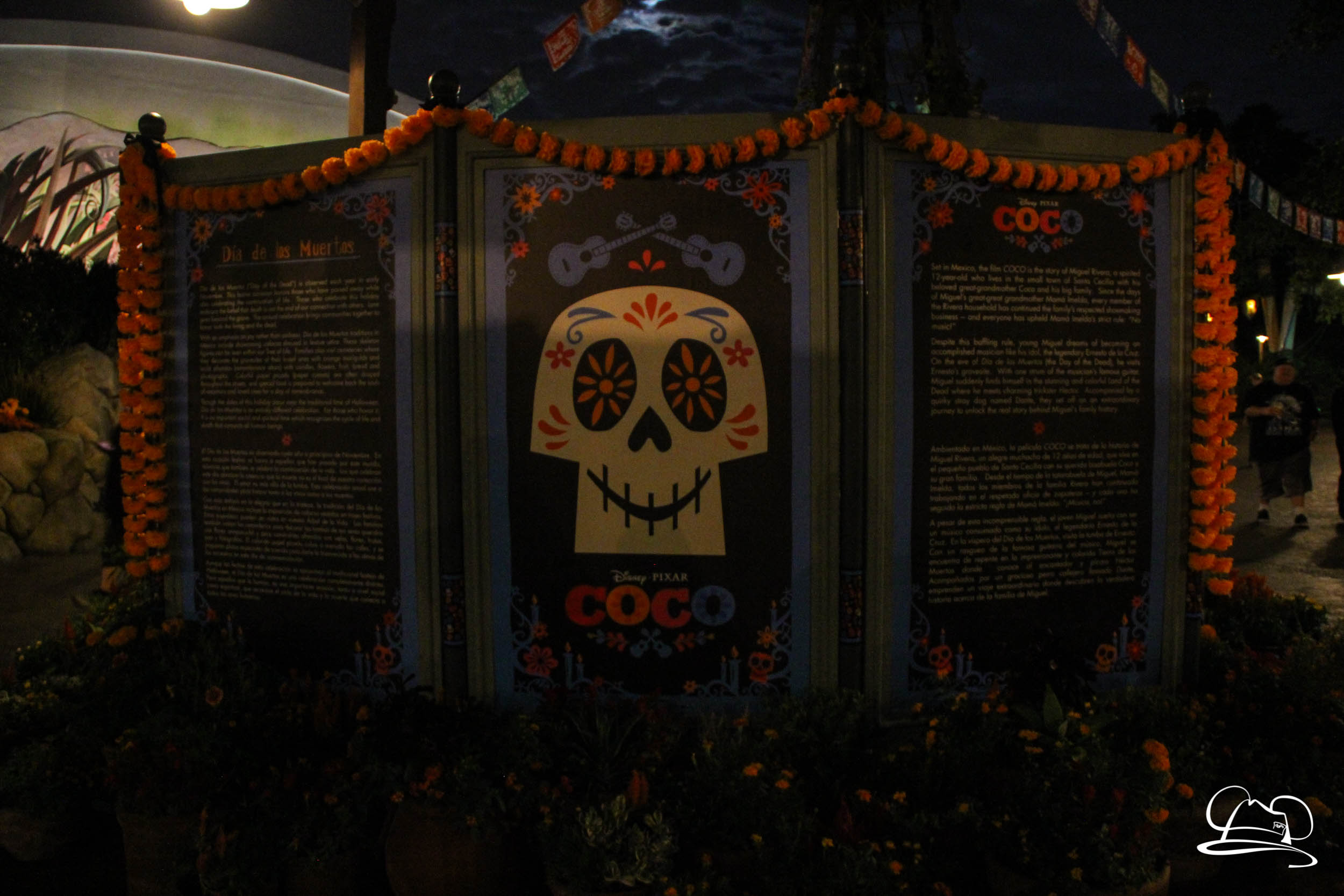 Disney-Pixar's Coco Sneak Peek Delights Disney California Adventure