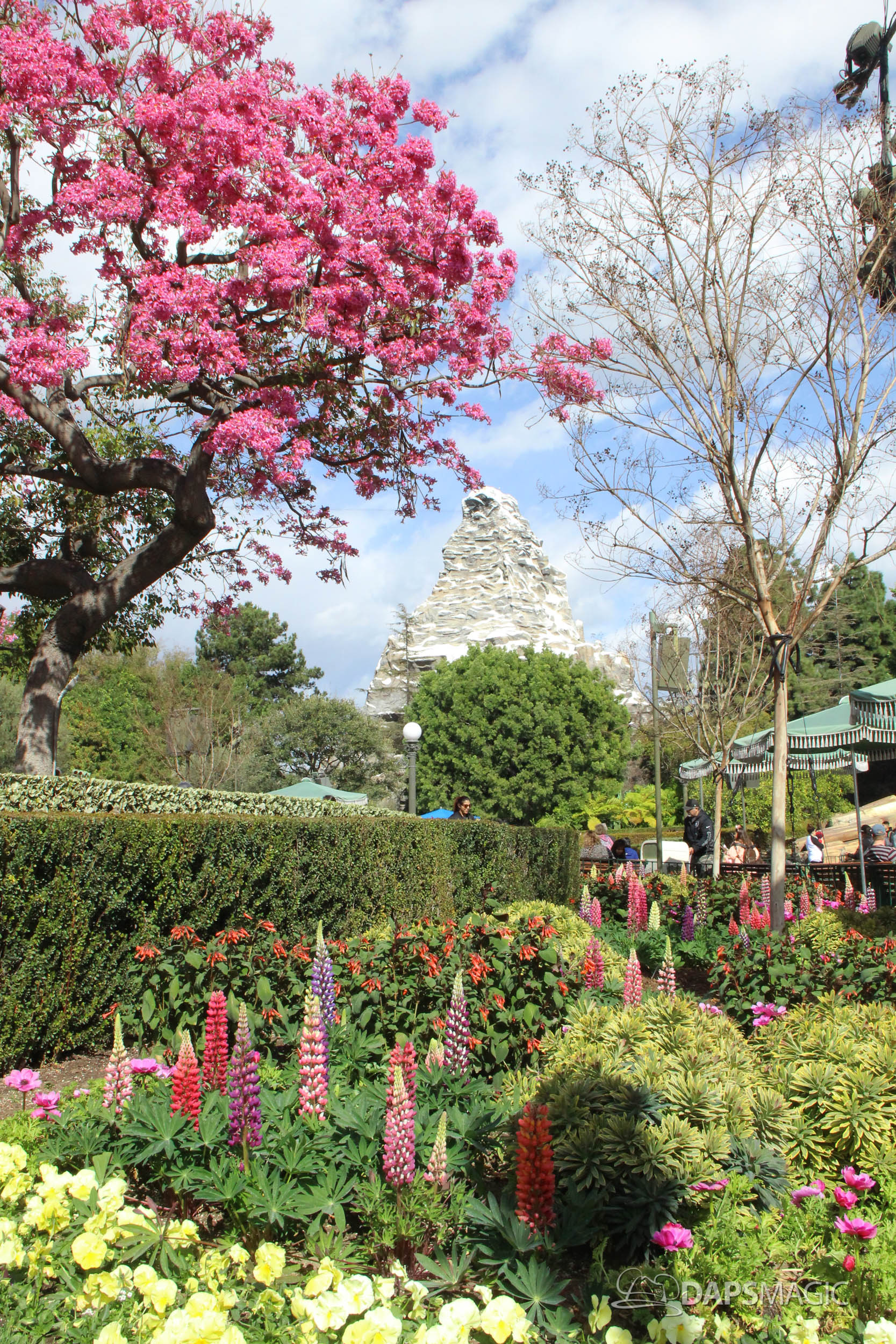Walls Come Down Around Disneyland's Hub as Spring Arrives