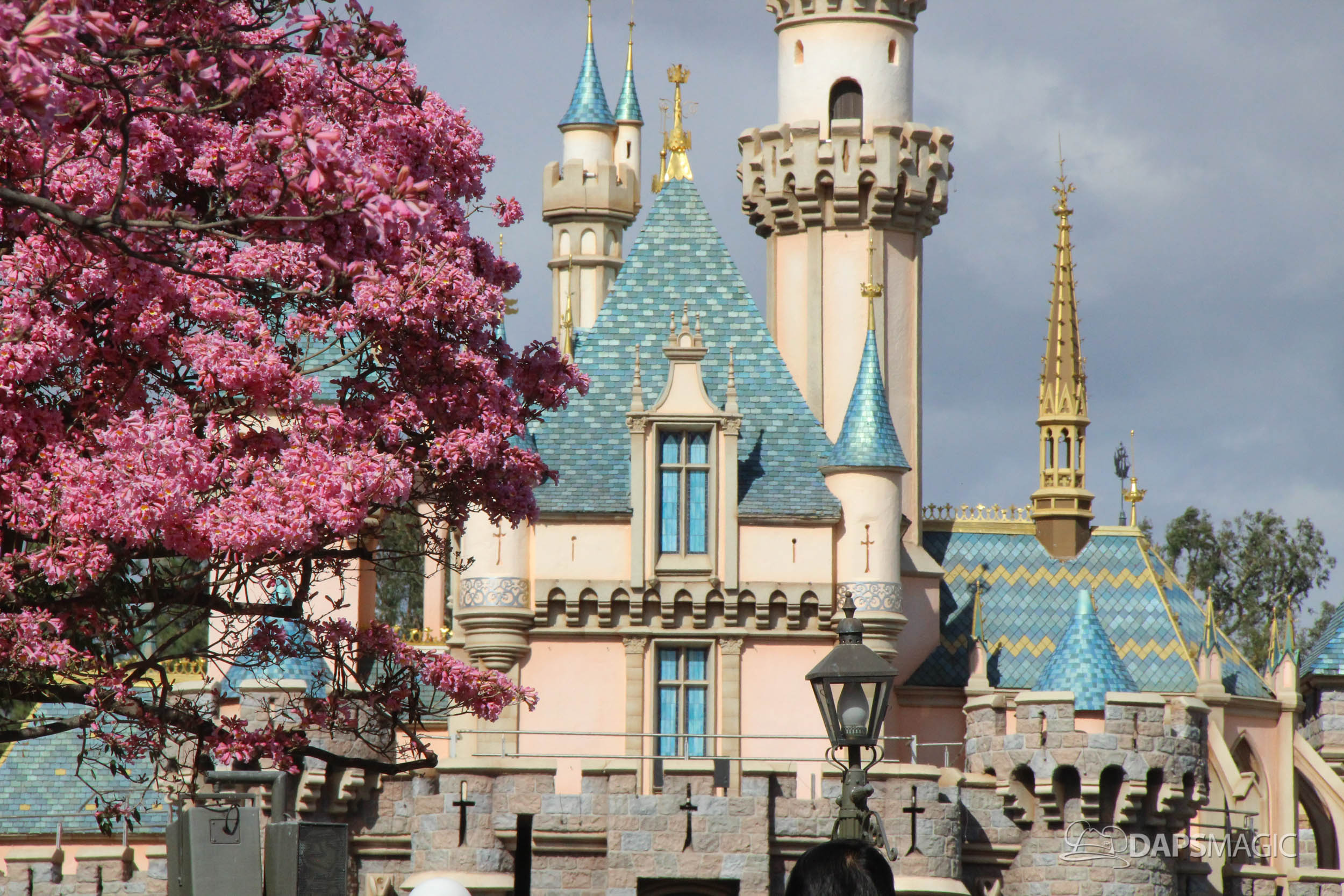 Walls Come Down Around Disneyland's Hub as Spring Arrives