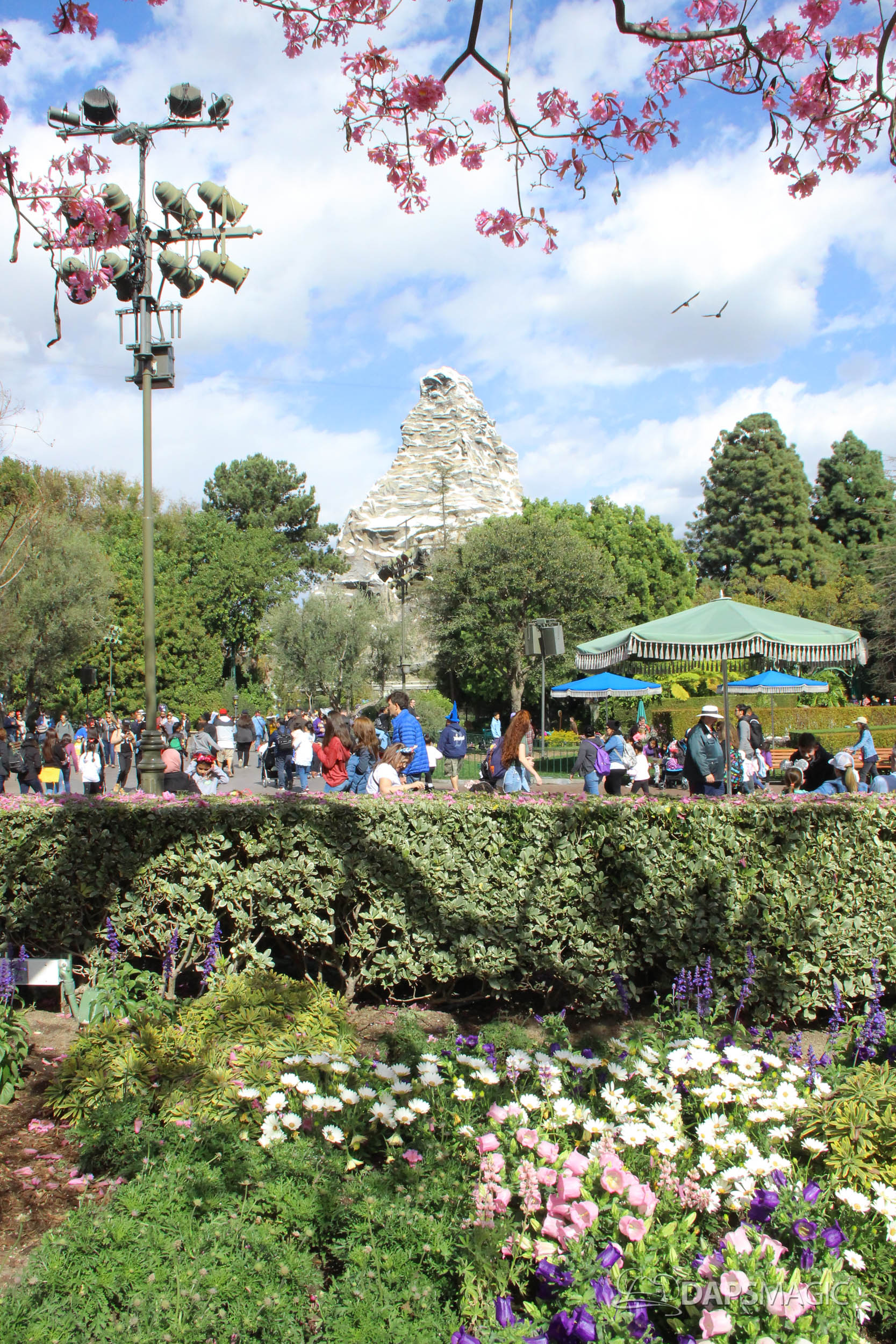 Walls Come Down Around Disneyland's Hub as Spring Arrives