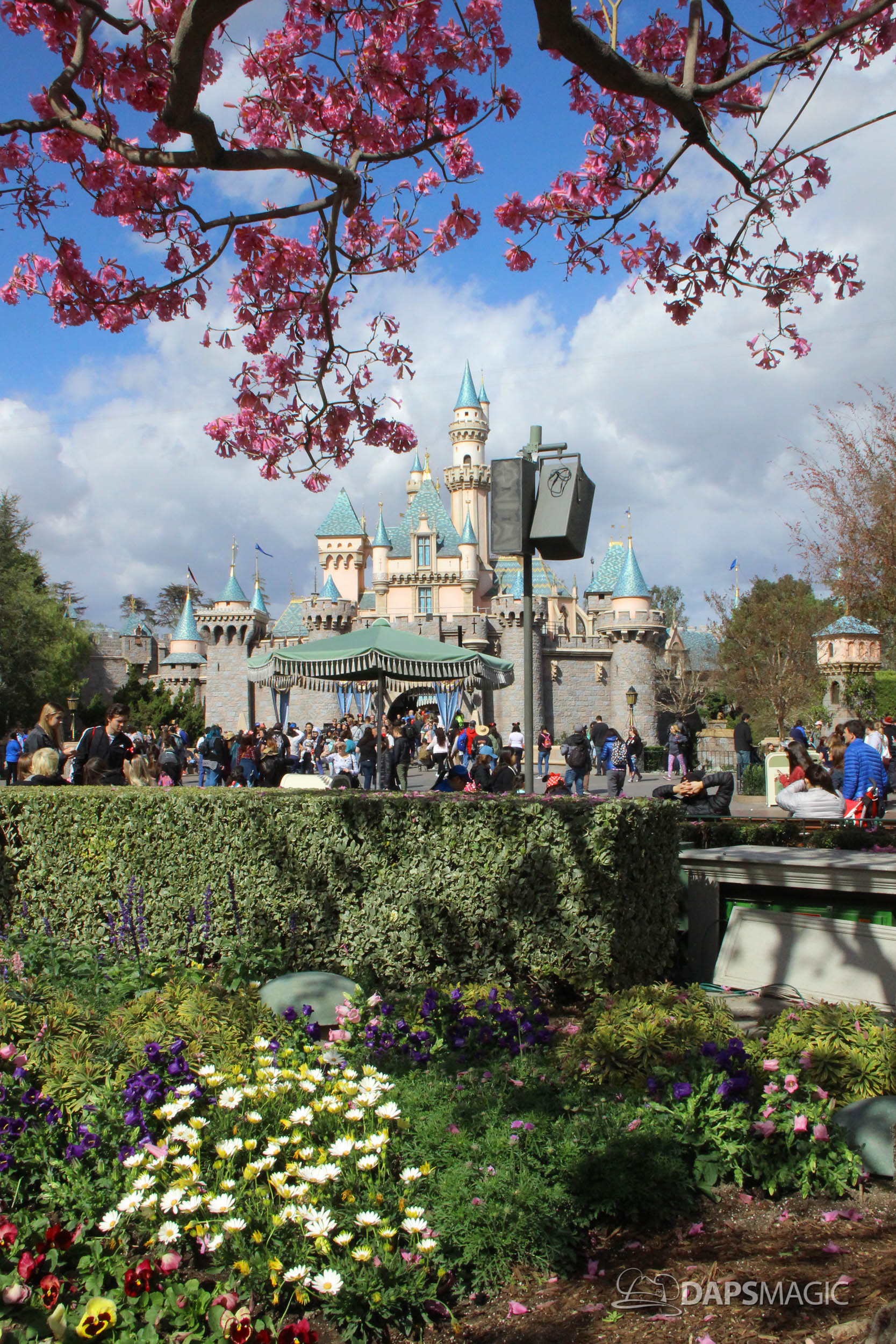 Walls Come Down Around Disneyland's Hub as Spring Arrives