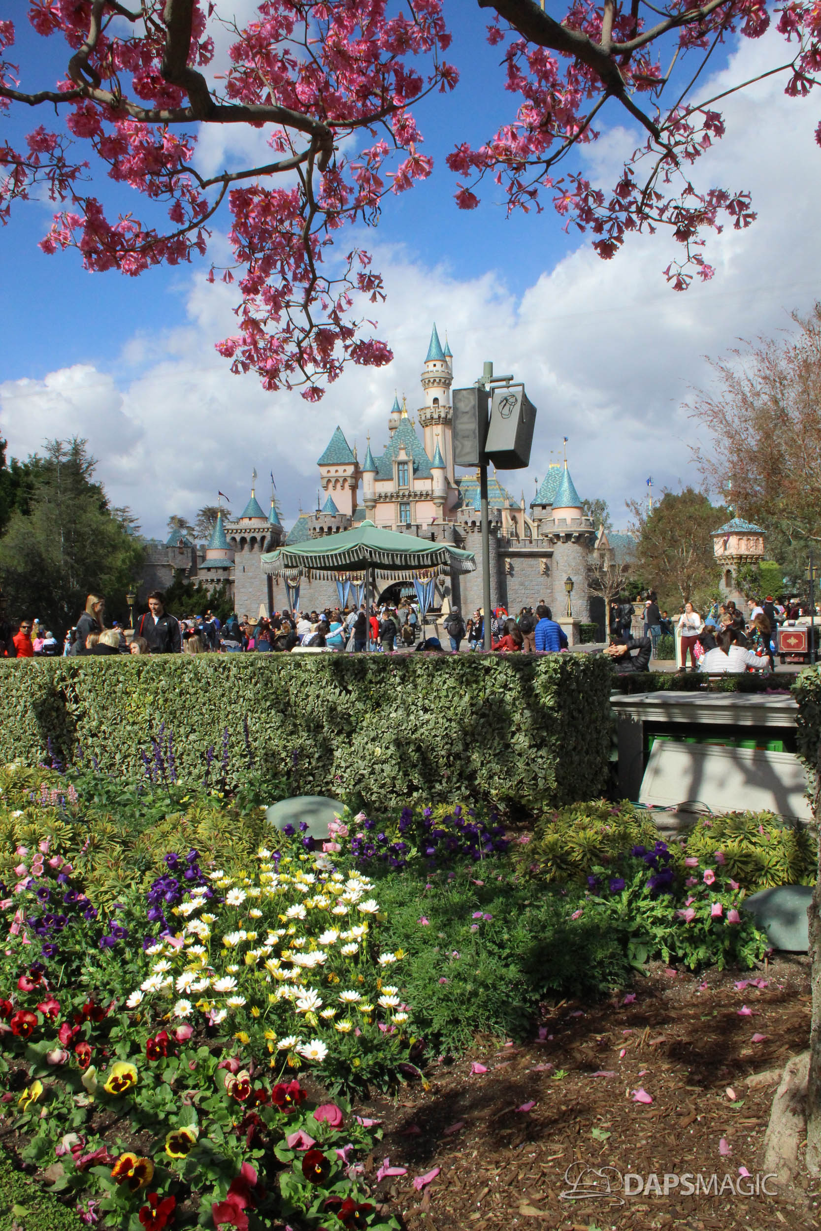 Walls Come Down Around Disneyland's Hub as Spring Arrives
