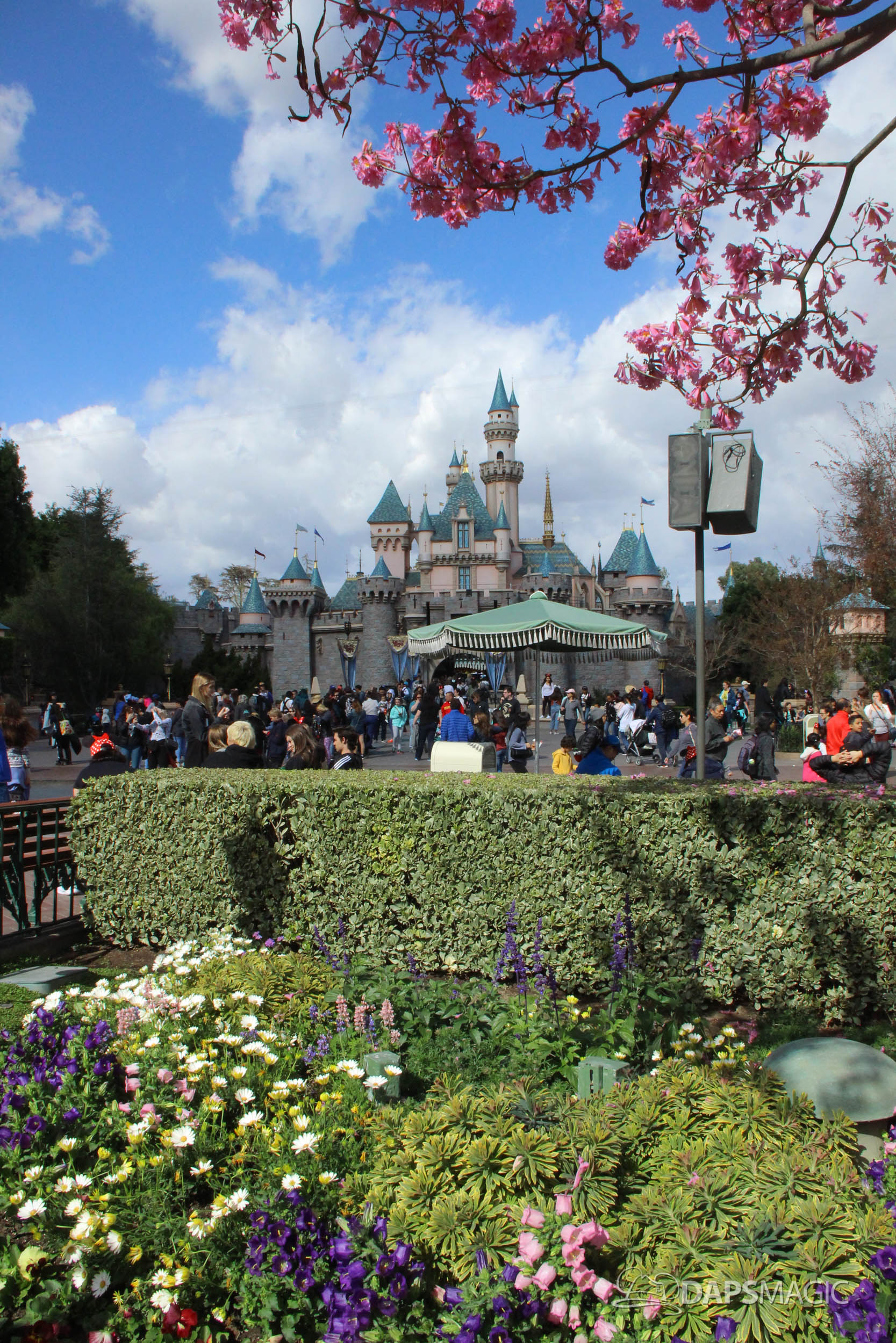 Walls Come Down Around Disneyland's Hub as Spring Arrives