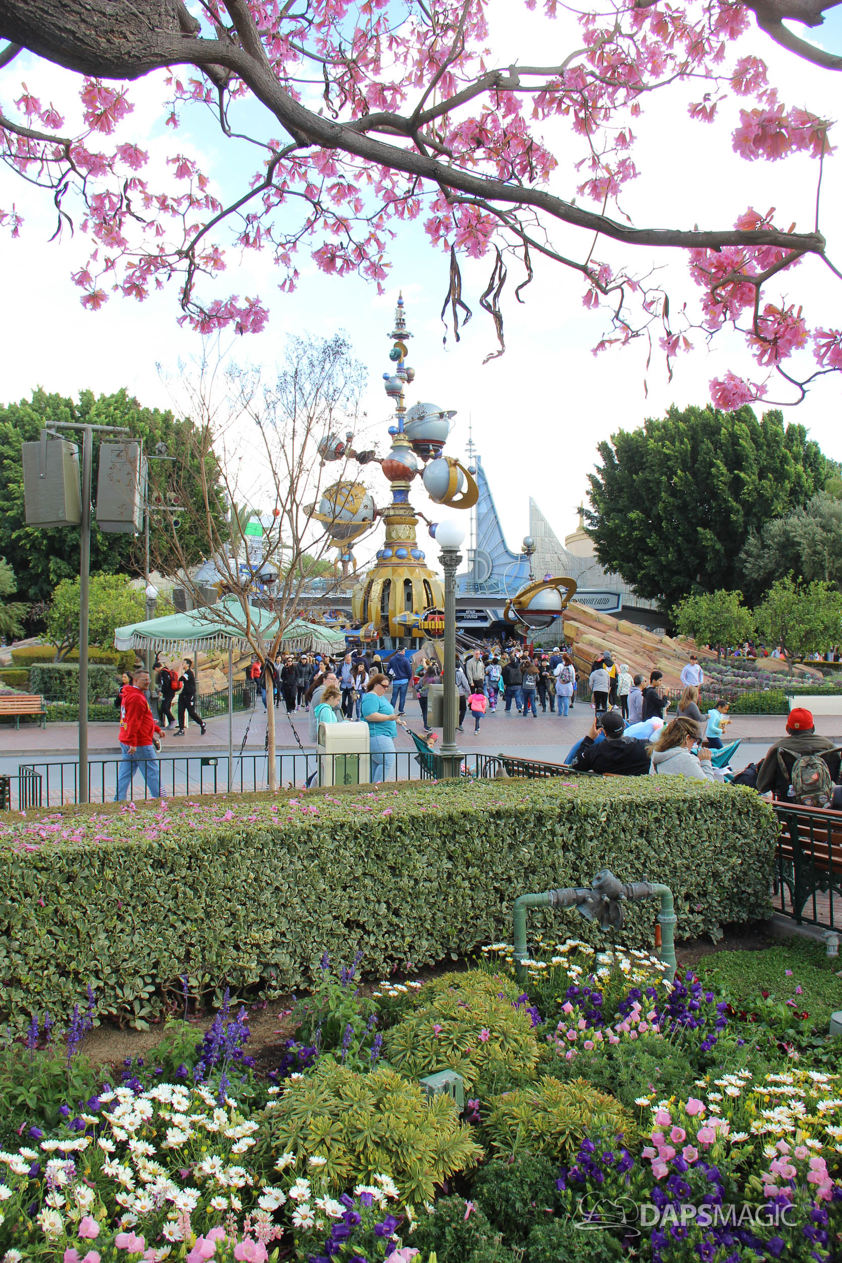 Walls Come Down Around Disneyland's Hub as Spring Arrives