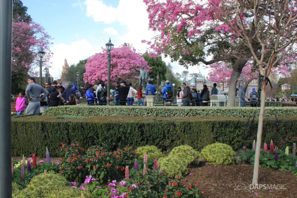 Walls Come Down Around Disneyland's Hub as Spring Arrives