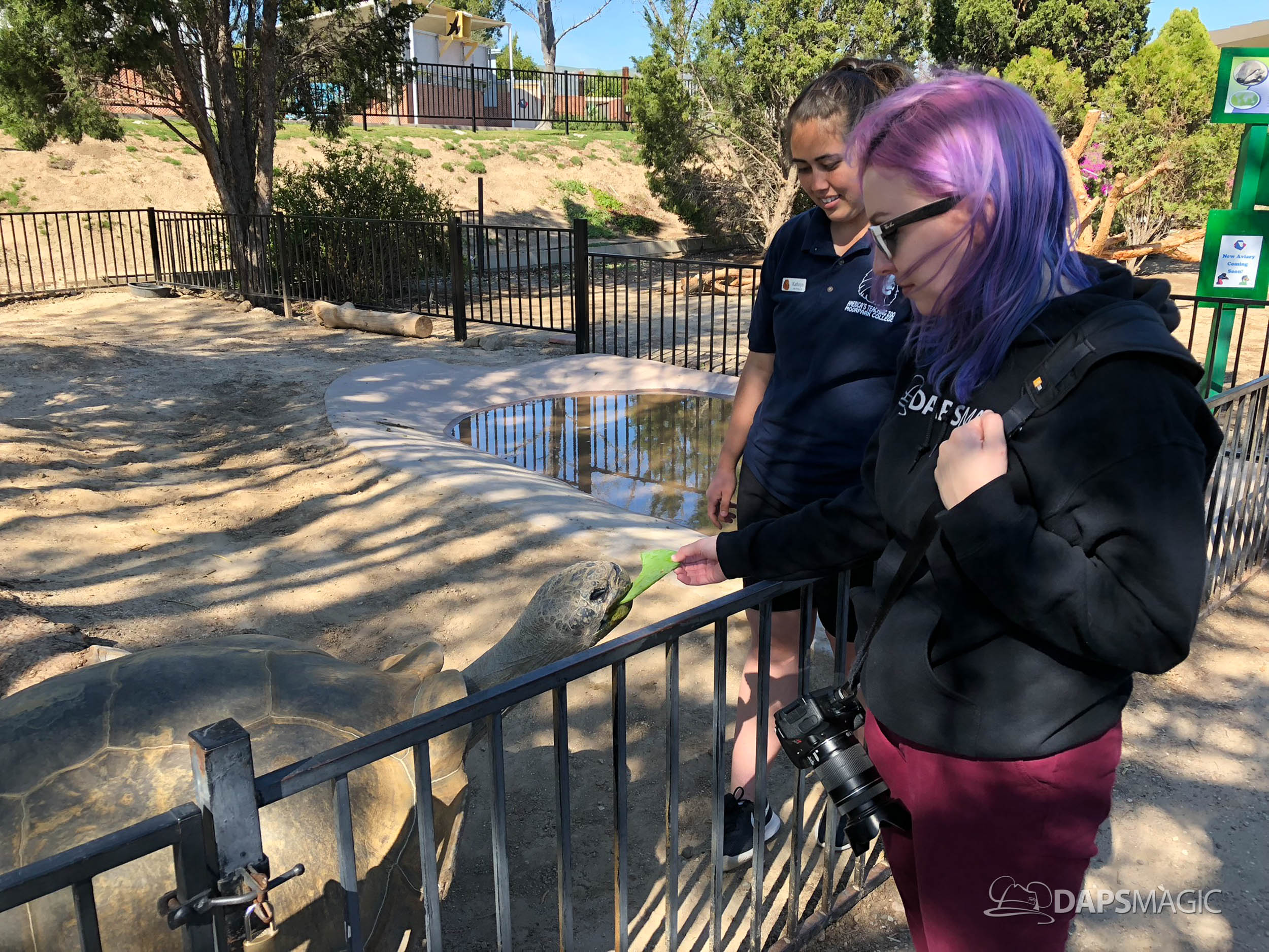 America's Teaching Zoo: DAPS Travel