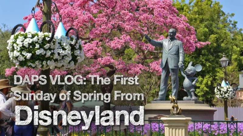 The First Sunday of Spring from Disneyland - DAPS Vlog