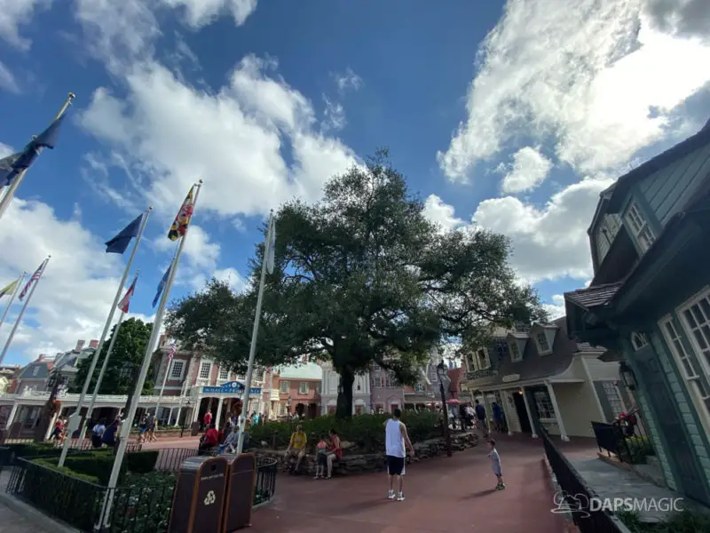 Sunday Spotlight: Liberty Tree in Liberty Square
