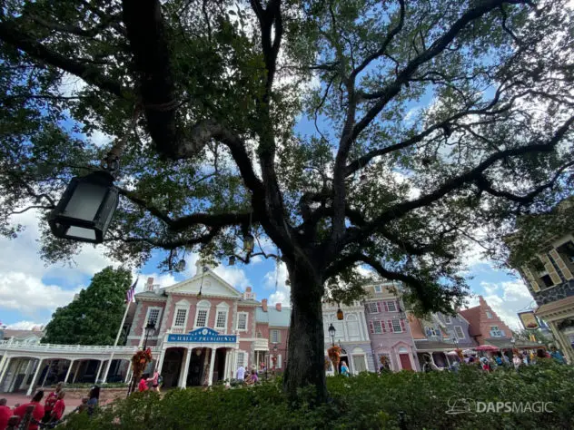 Sunday Spotlight: Liberty Tree in Liberty Square
