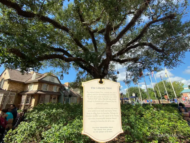 Sunday Spotlight: Liberty Tree in Liberty Square