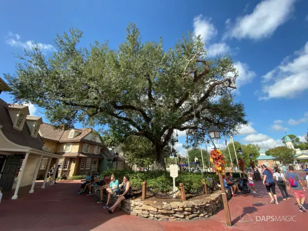 Sunday Spotlight: Liberty Tree in Liberty Square