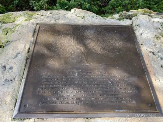 Sunday Spotlight: Liberty Tree in Liberty Square