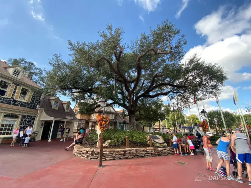 Sunday Spotlight: Liberty Tree in Liberty Square