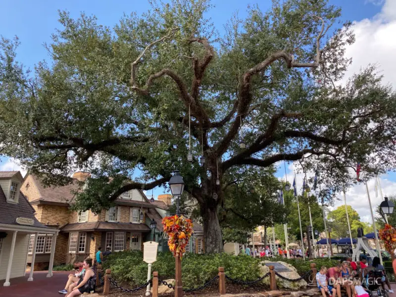 Sunday Spotlight: Liberty Tree in Liberty Square