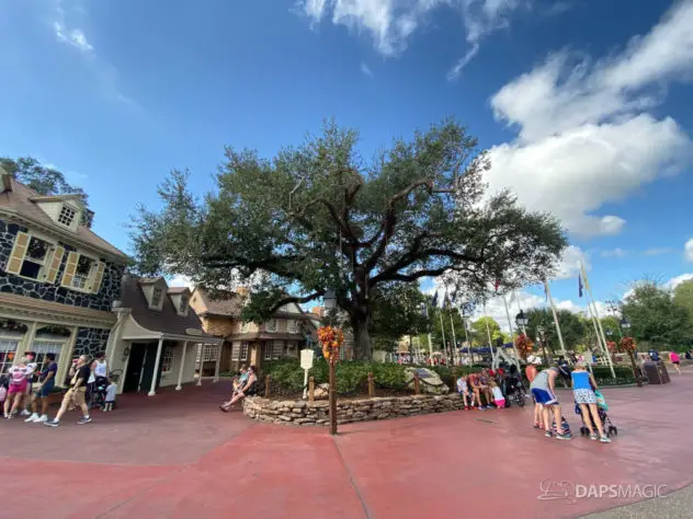 Sunday Spotlight: Liberty Tree in Liberty Square