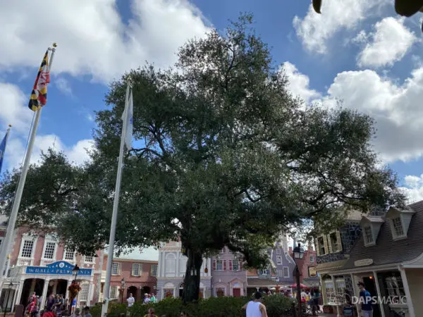 Sunday Spotlight: Liberty Tree in Liberty Square