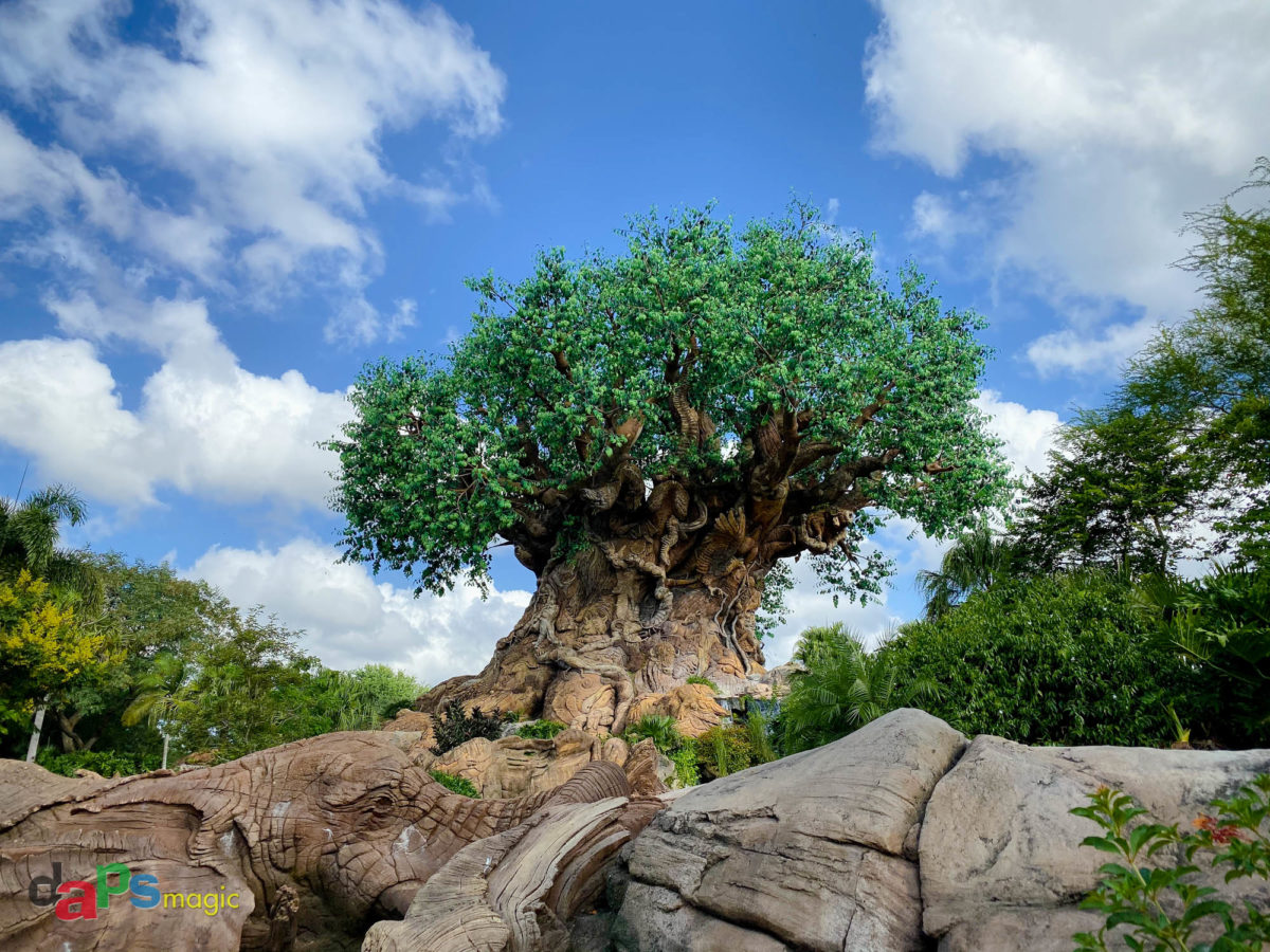 The Magic of Nature Found in Disney Parks and Beyond on Earth Day!
