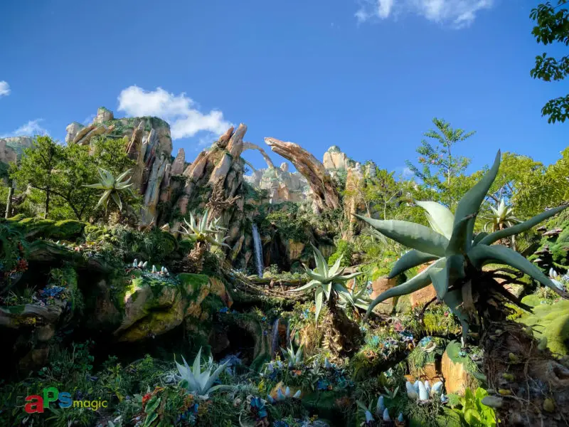 The Magic of Nature Found in Disney Parks and Beyond on Earth Day!
