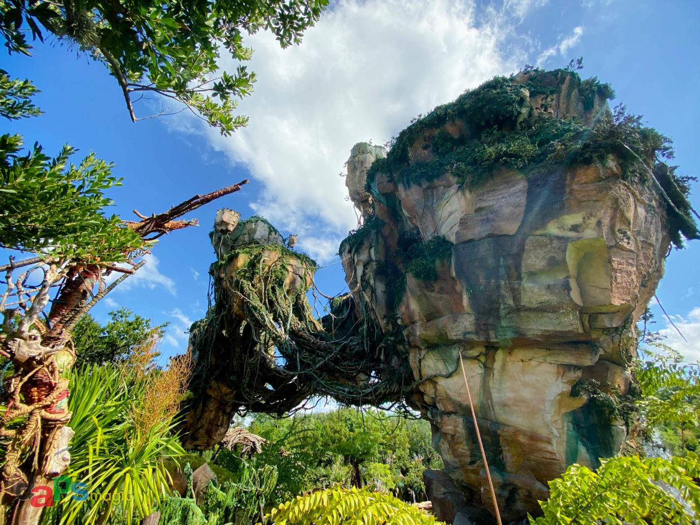 The Magic of Nature Found in Disney Parks and Beyond on Earth Day!