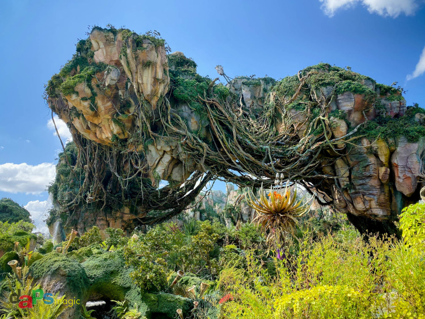 The Magic of Nature Found in Disney Parks and Beyond on Earth Day!