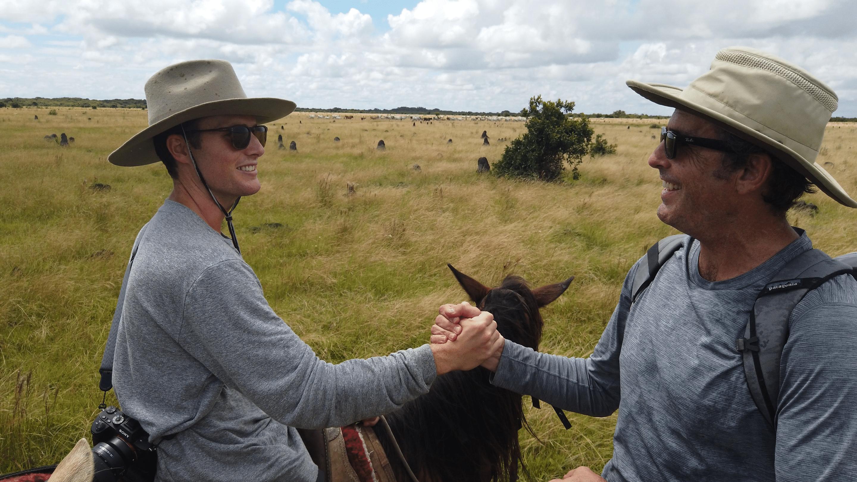 Disney+ Releases Trailer for Rogue Trip