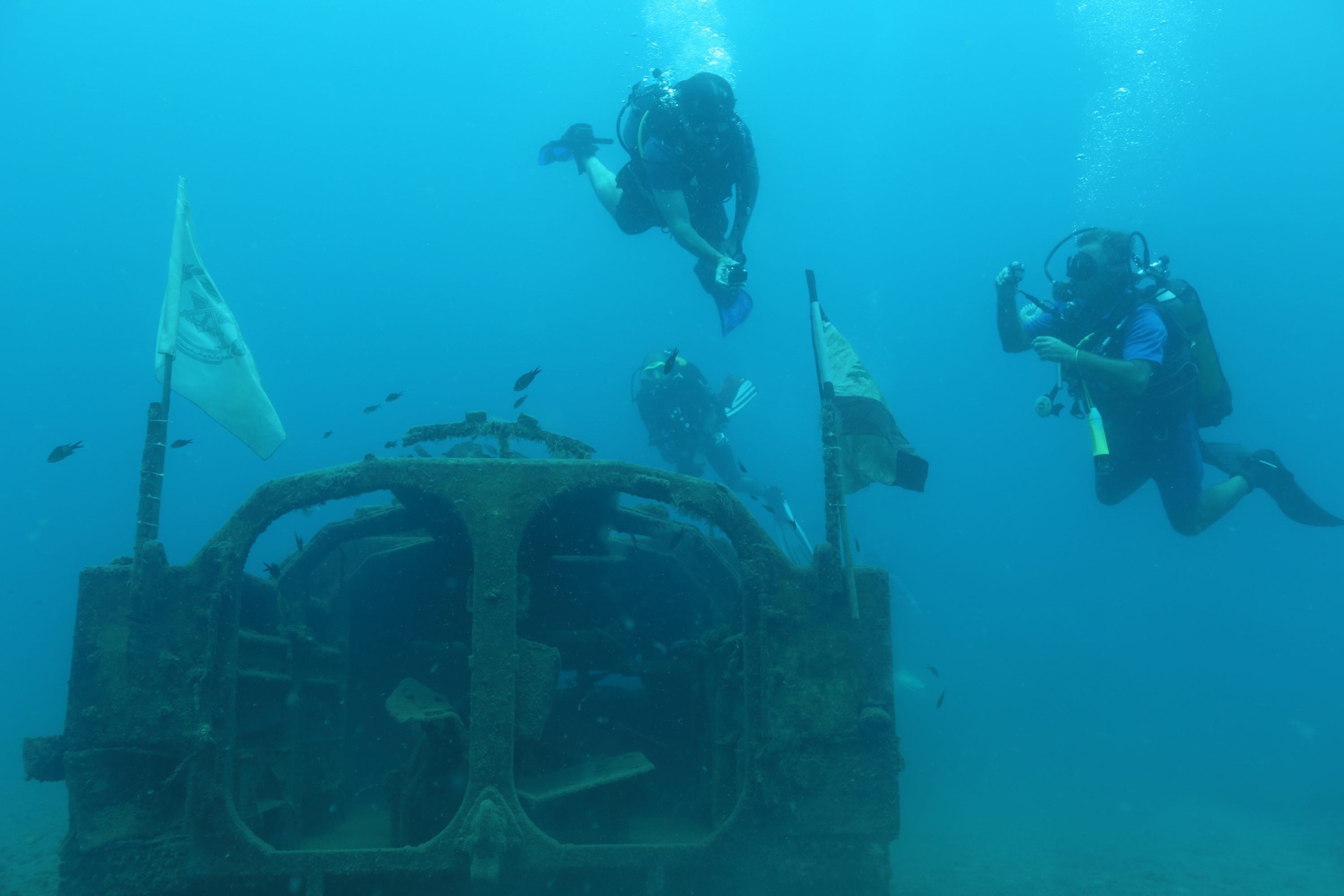 Disney+ Releases Trailer for Rogue Trip