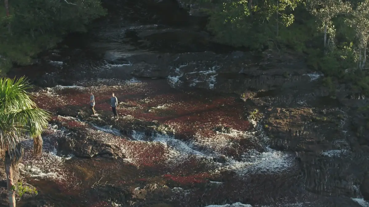 Disney+ Releases Trailer for Rogue Trip