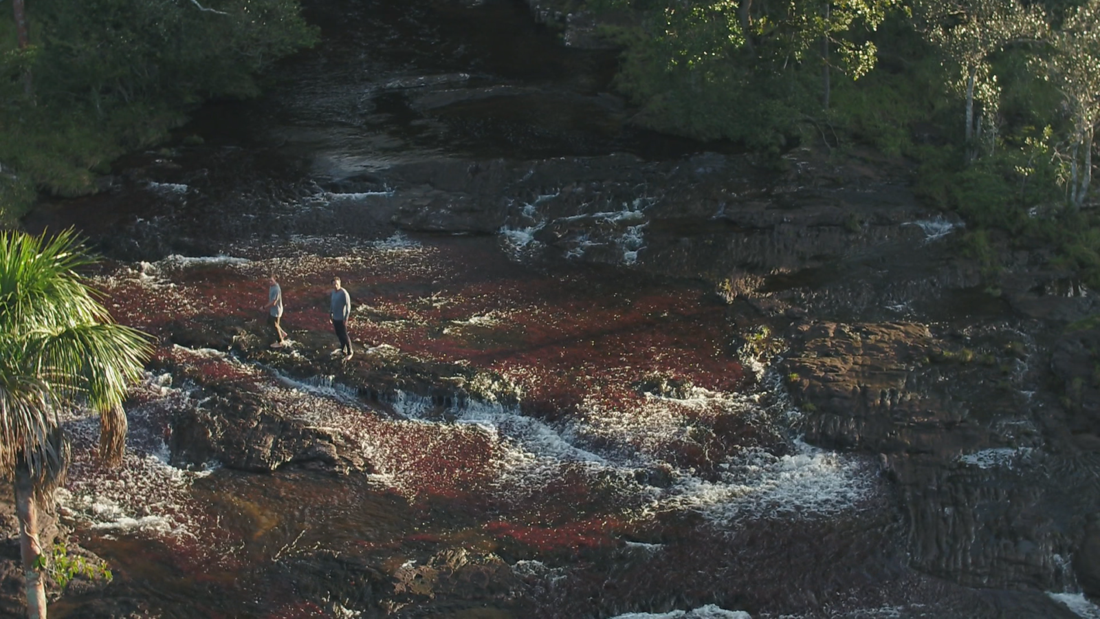 Disney+ Releases Trailer for Rogue Trip