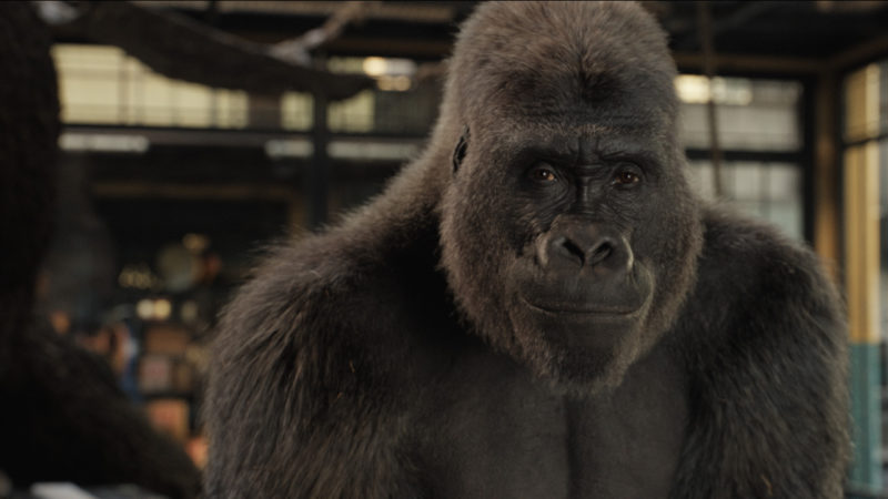 Disney Releases New Clips, Photos, and Posters for The One and Only ...