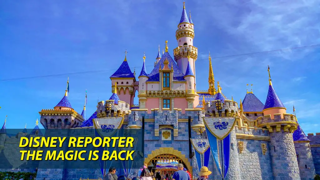 The Magic is Back - DISNEY Reporter