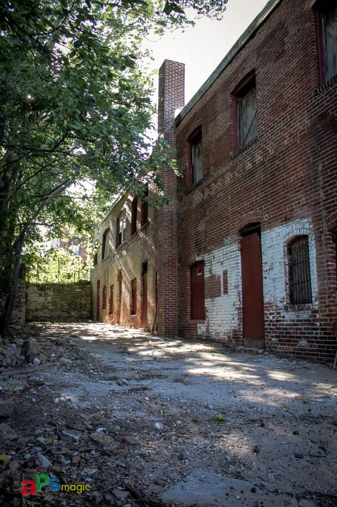 Thank You Walt Disney, Inc. Receives $2 Million Grant for Walt Disney's Laugh-O-Gram Studio