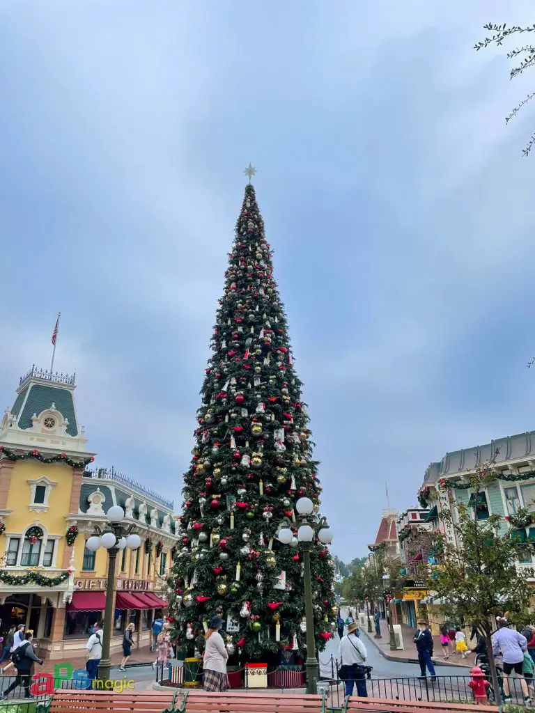 Christmas Tree Arrives at Disneyland Ahead of Holiday Celebration
