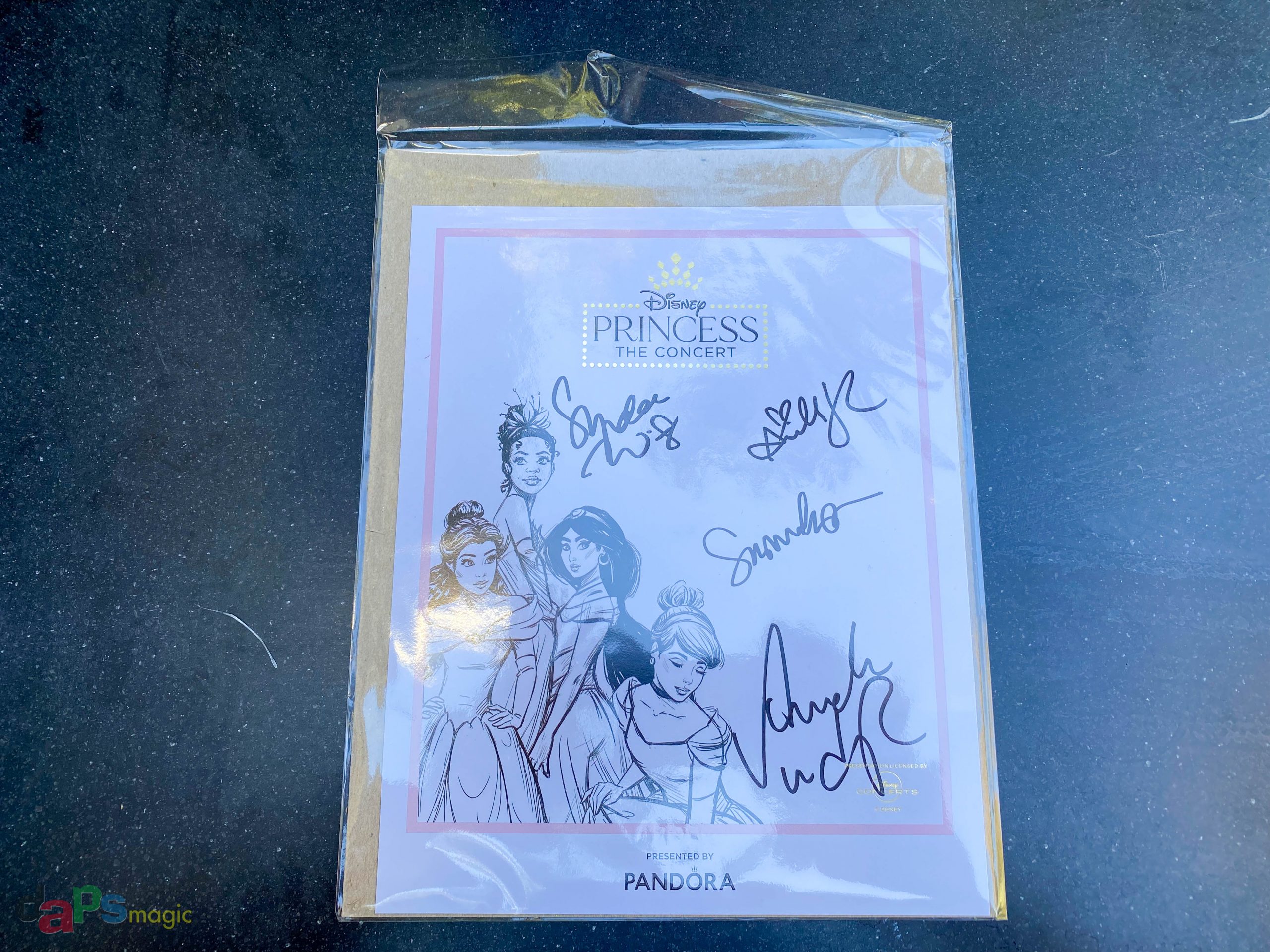 Disney Princess - The Concert Cast Meets with Guests in Downtown Disney ...