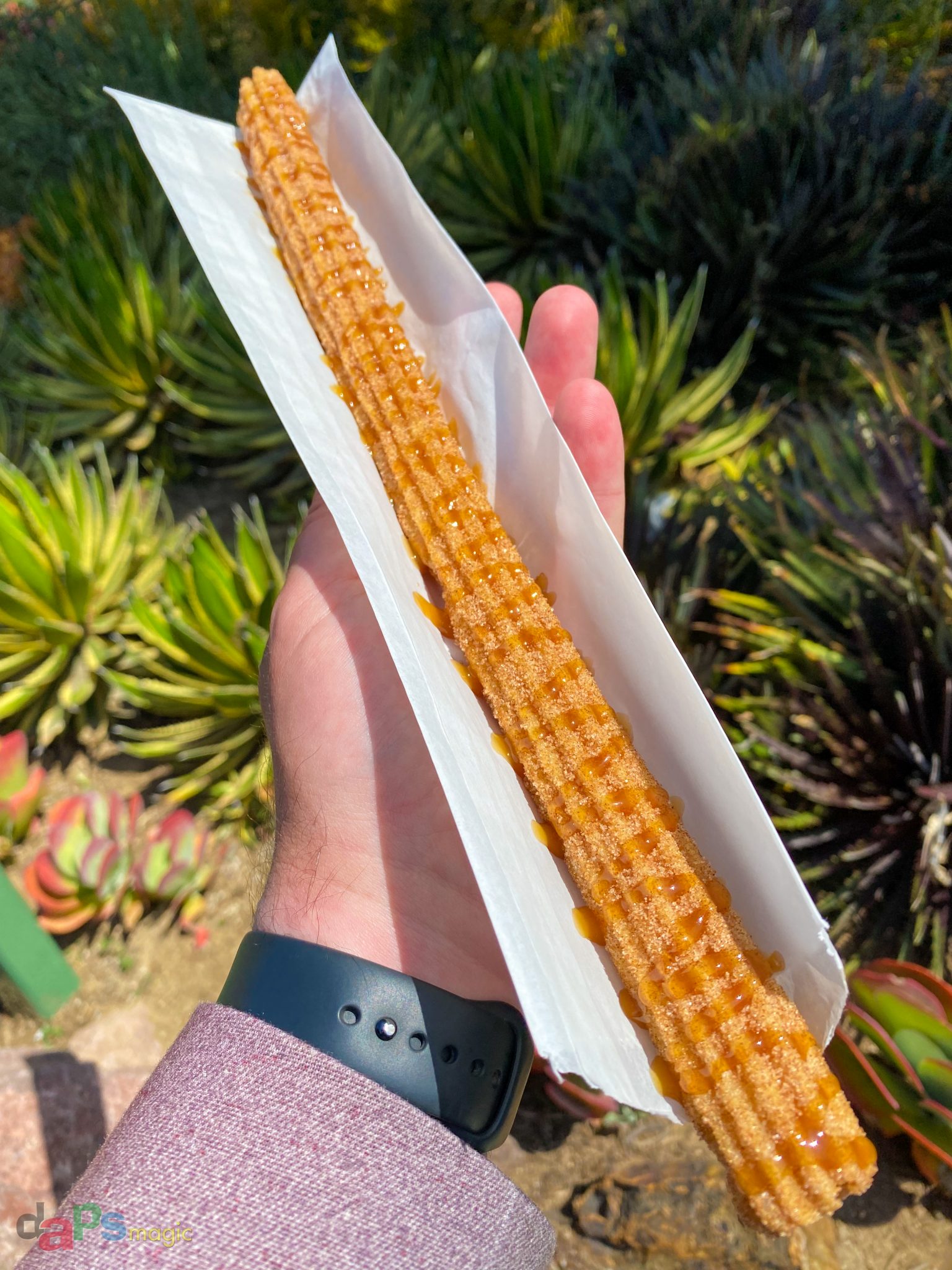 There Are Three Churros, Which One Do You Pick?