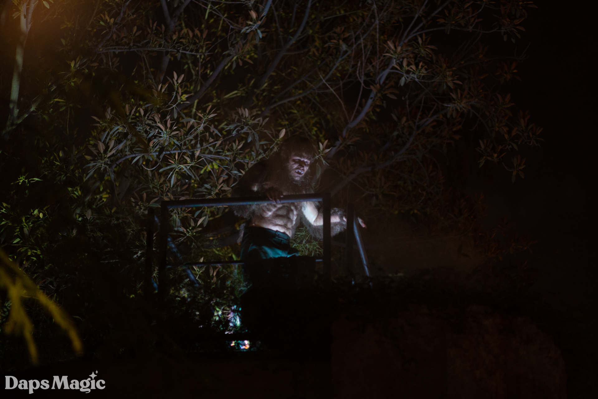 Tips for Seeing Werewolf by Night at Avengers Campus in Disney ...