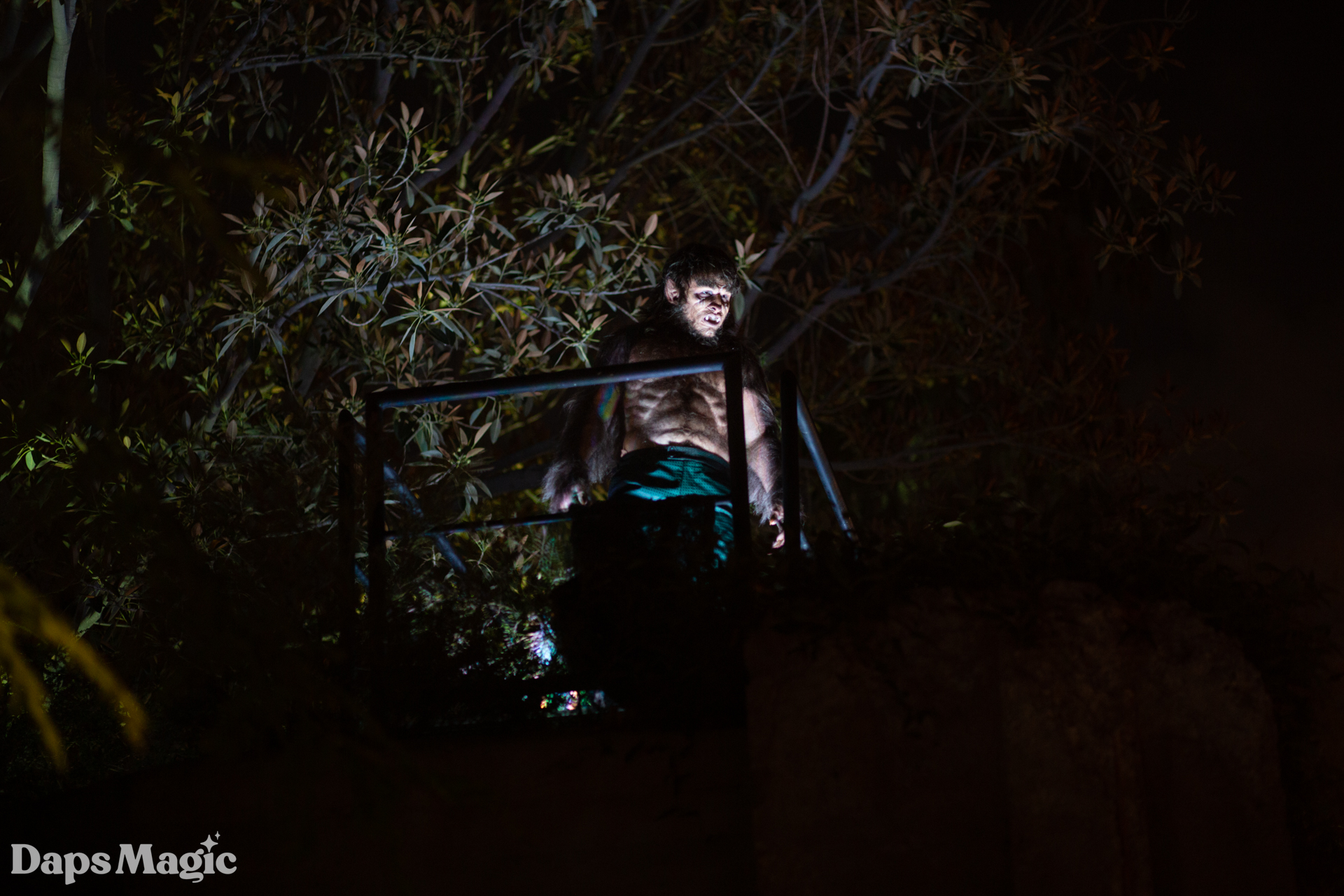 Tips for Seeing Werewolf by Night at Avengers Campus in Disney ...