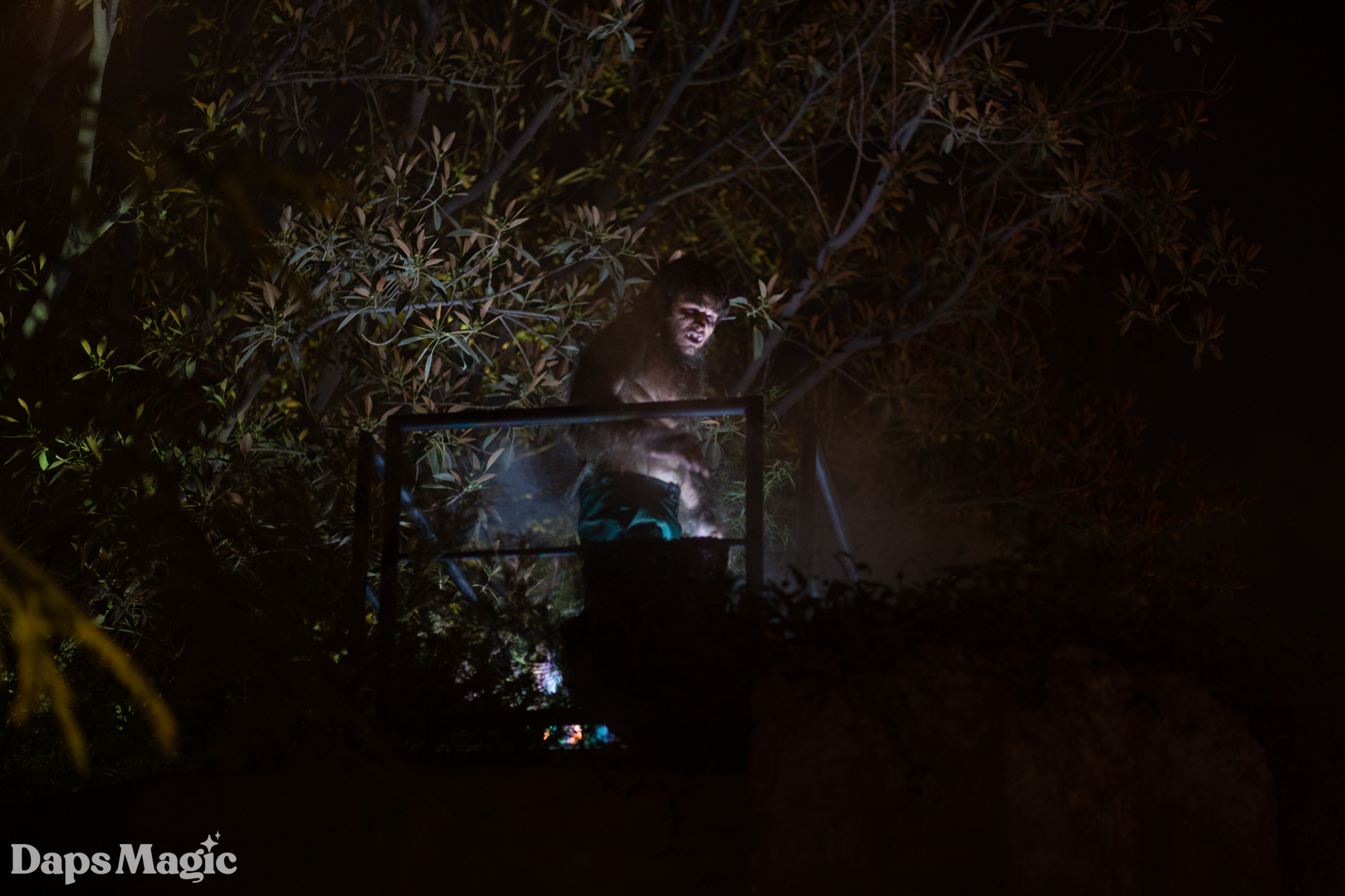 Tips for Seeing Werewolf by Night at Avengers Campus in Disney ...