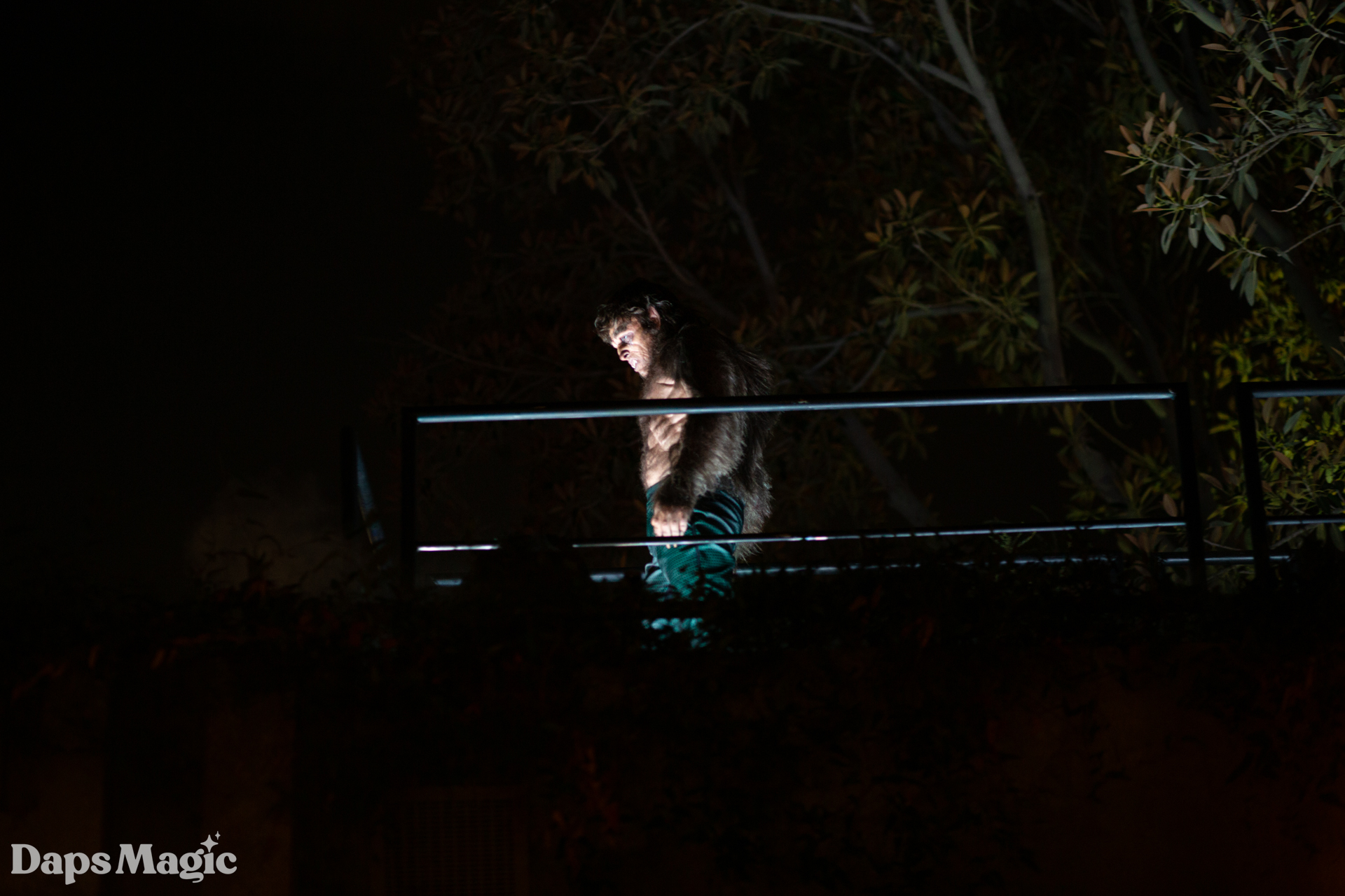 Tips for Seeing Werewolf by Night at Avengers Campus in Disney ...