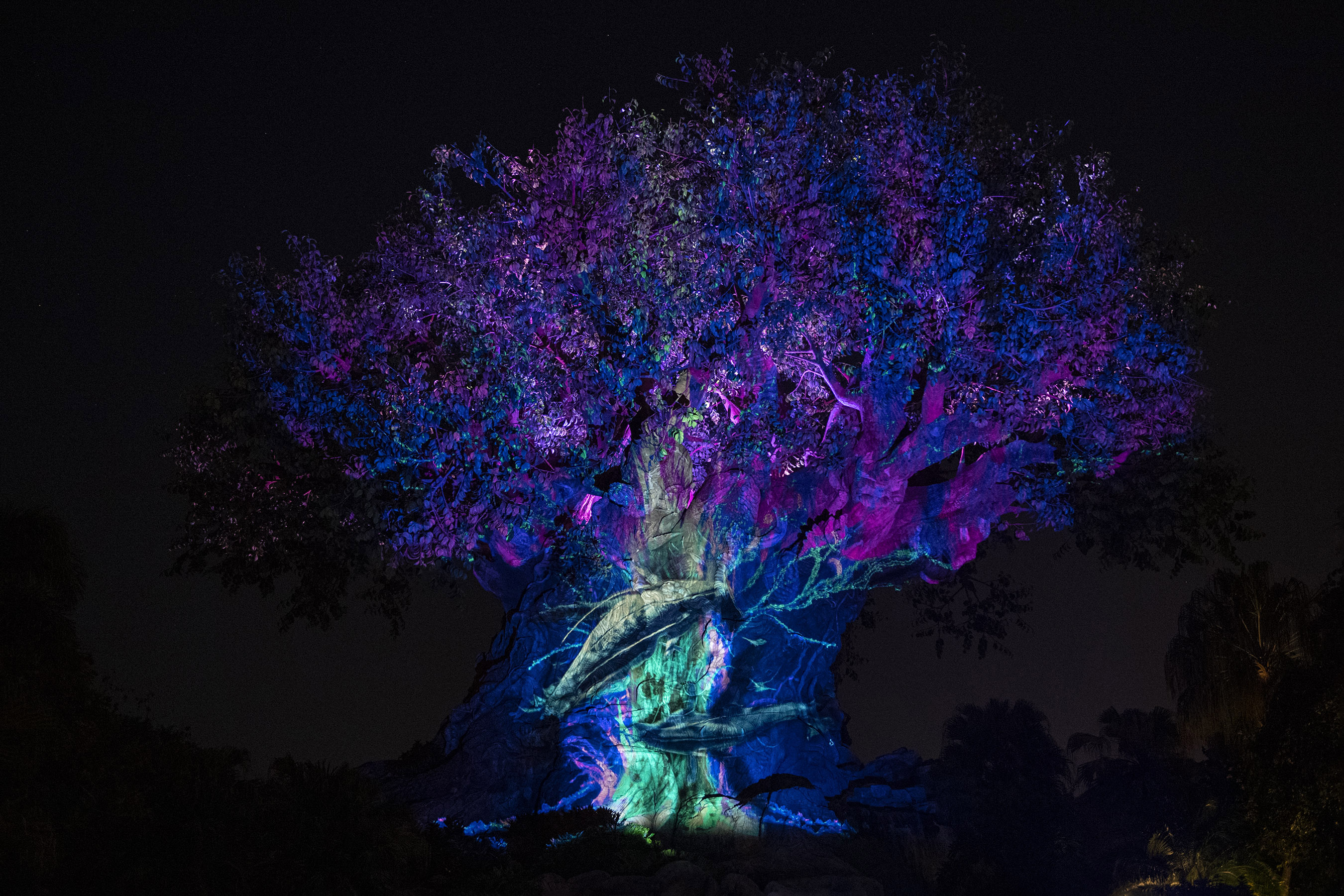 VIDEO: "Avatar: The Way of Water" Tree of Life Awakening at Disney's ...