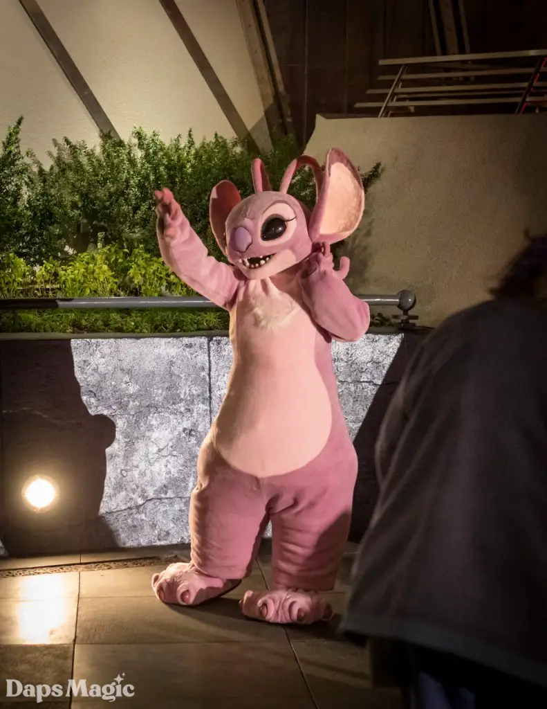 Through the Lens of Mr. Daps - Disneyland After Dark: Sweethearts' Nite