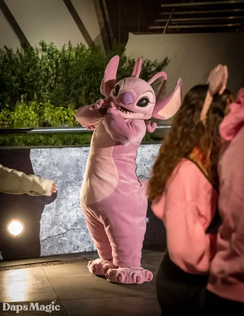 Through the Lens of Mr. Daps - Disneyland After Dark: Sweethearts' Nite