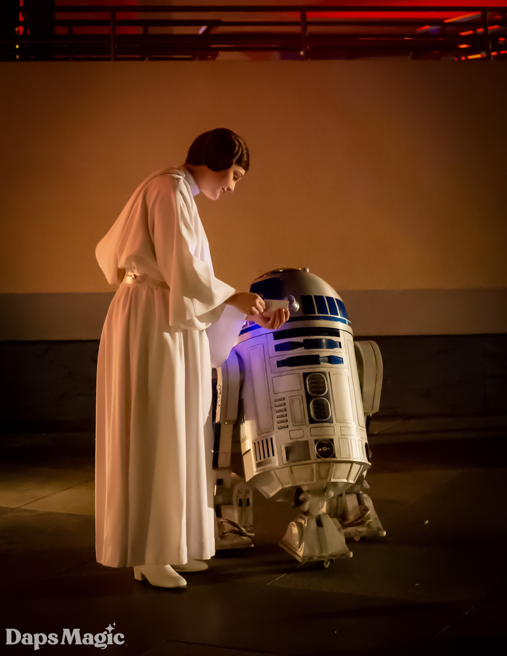 Caption of the Week - Week #5 - Princess Leia & R2-D2