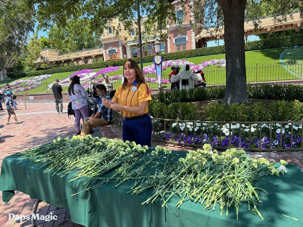 Disneyland Resort Gifts Mothers with Carnations for Mother’s Day