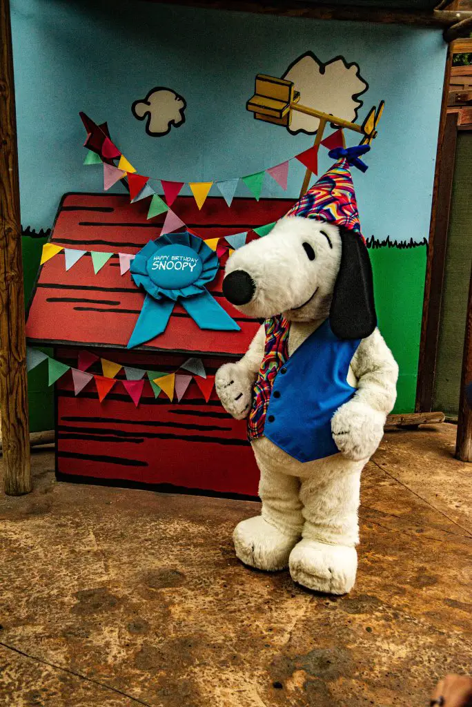 Celebrating Snoopy, Updates in the Park, and a Passholder Sale at Knott ...