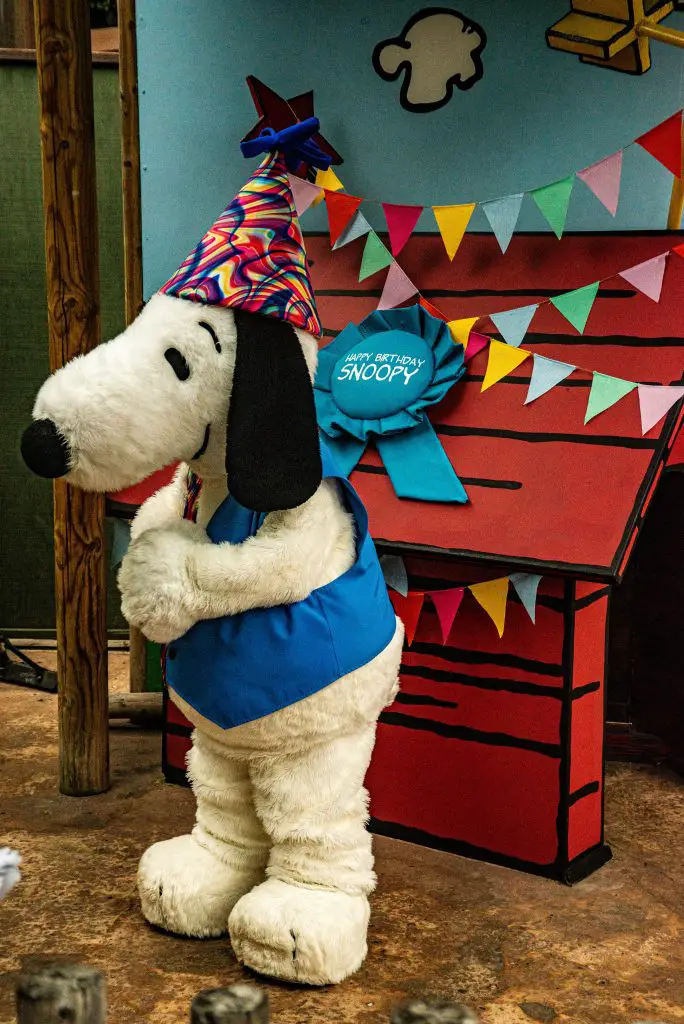 Celebrating Snoopy, Updates in the Park, and a Passholder Sale at Knott ...