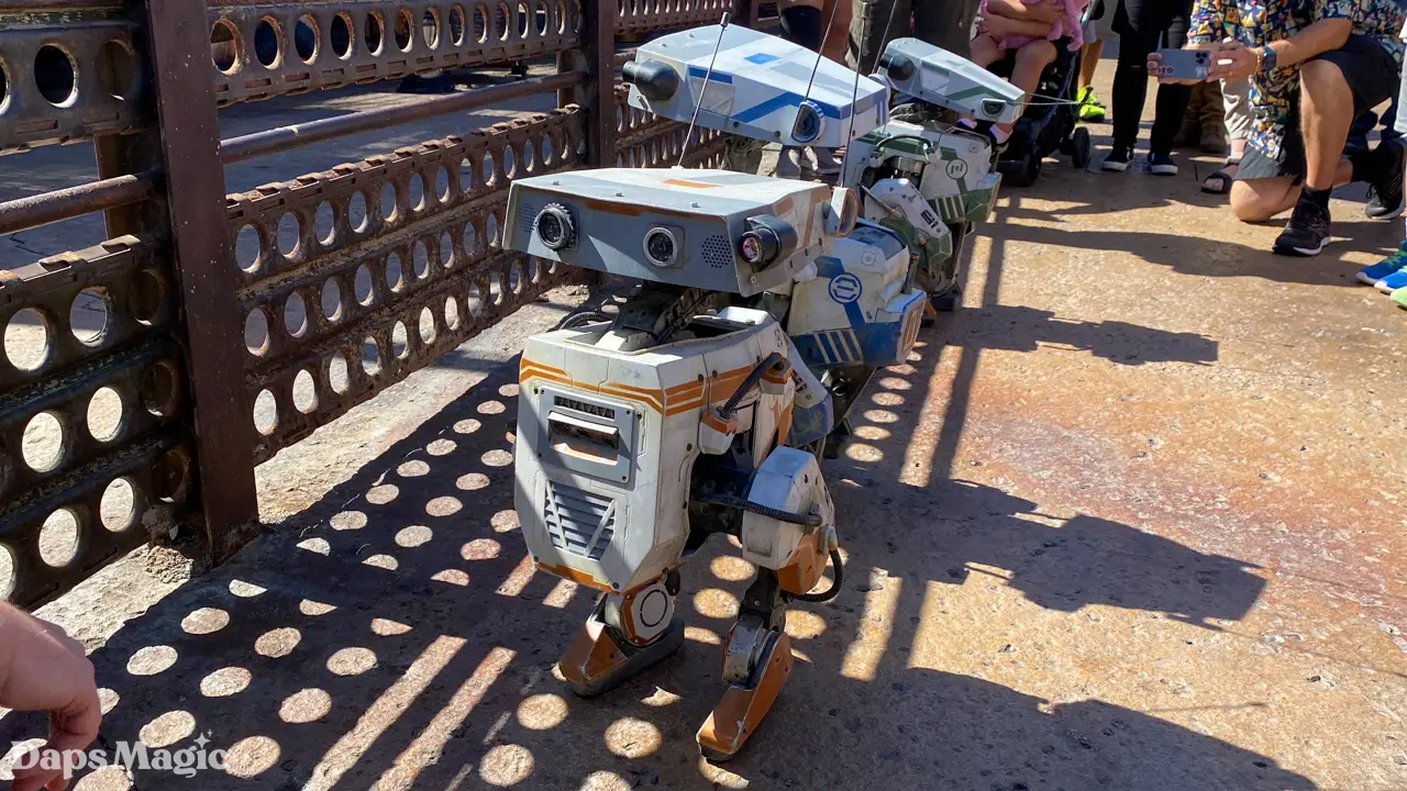 VIDEOS/PHOTOS: New Droids Arrive at Disneyland's Star Wars: Galaxy's Edge